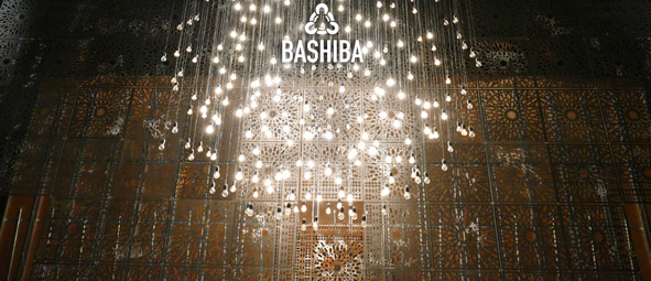 88 | BASHIBA > SOUND REACTIVE LIGHTS