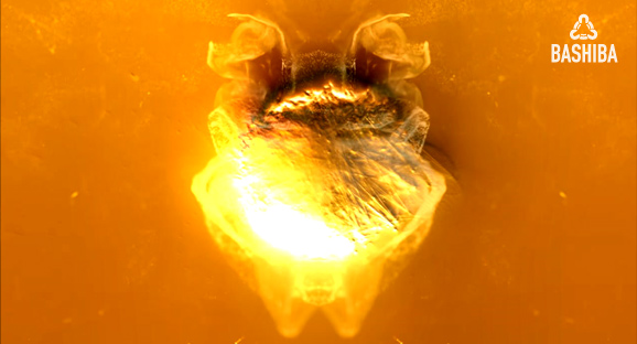 88 | BASHIBA LIVE > MUSIC VISUALIZATION, REAL-TIME VIDEO SYNTHESIS